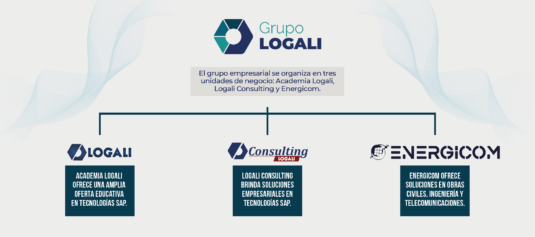 Organización - Grupo Logali